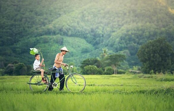 Zinedine Zidane's Future Shifts Dramatically: New Job Talks & Fallout ...